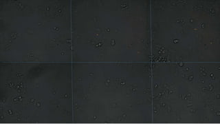 Building an informatics solution to sustain AI-guided cell profiling ...