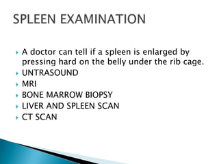 Spleen | PPT
