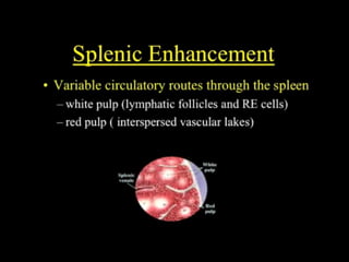 Spleen | PPT