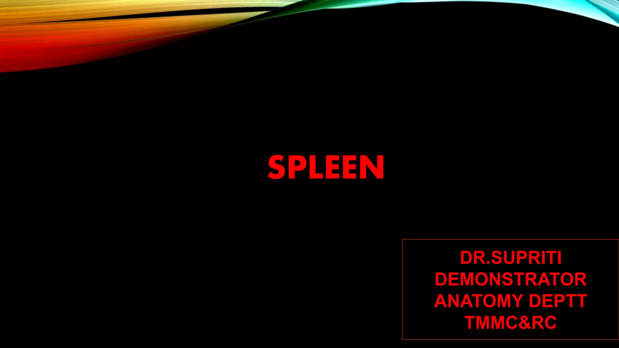 anatomy of spleen | PPTX