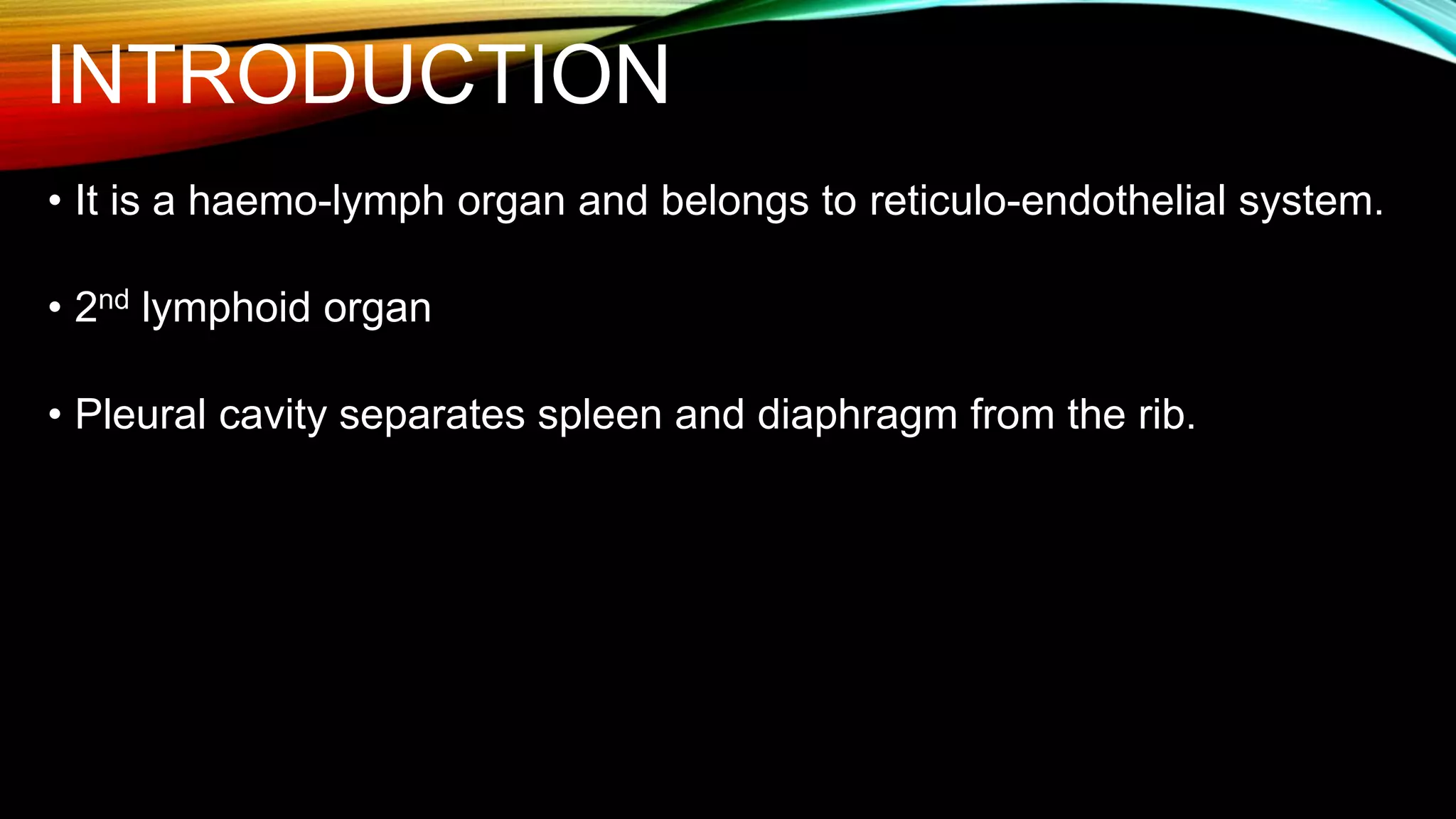 anatomy of spleen | PPTX