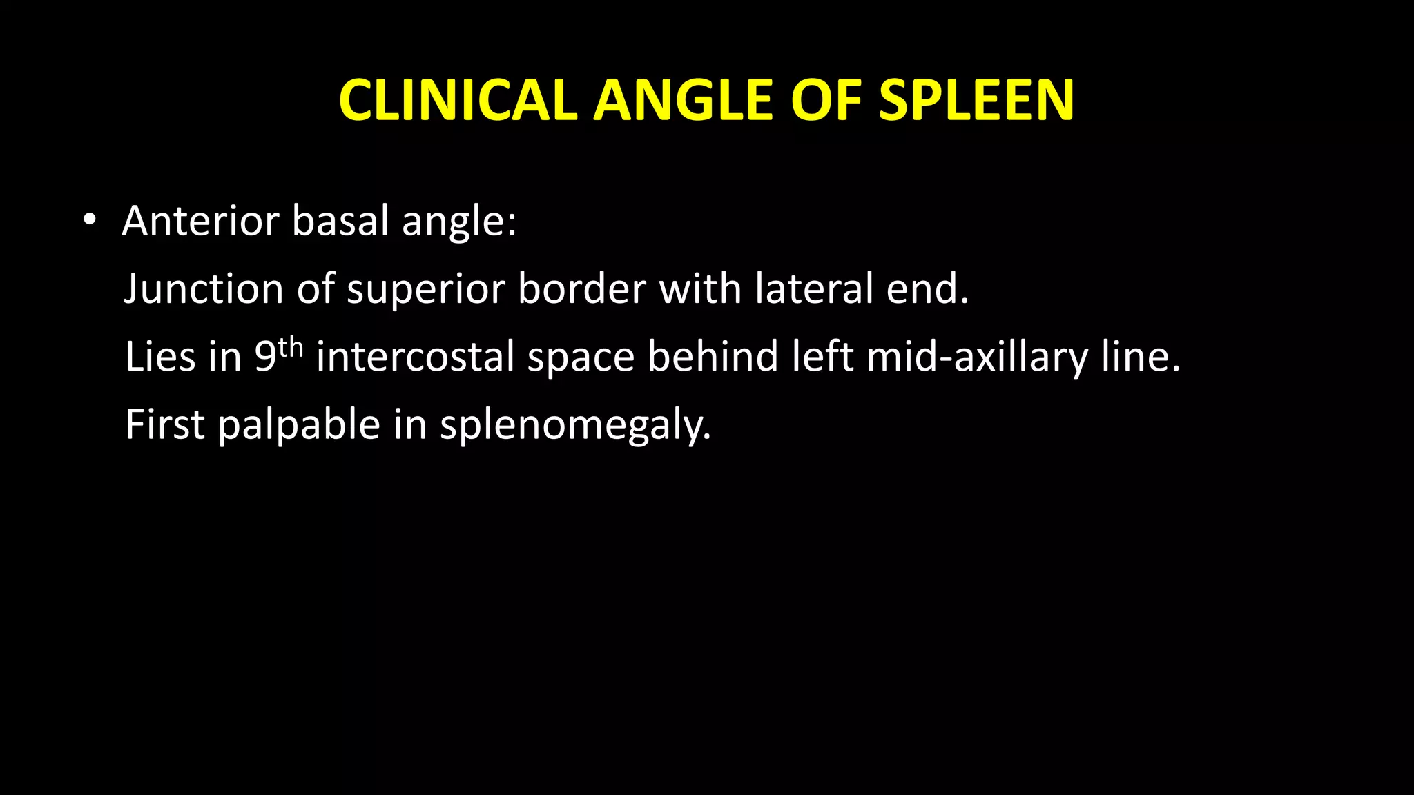 anatomy of spleen | PPTX