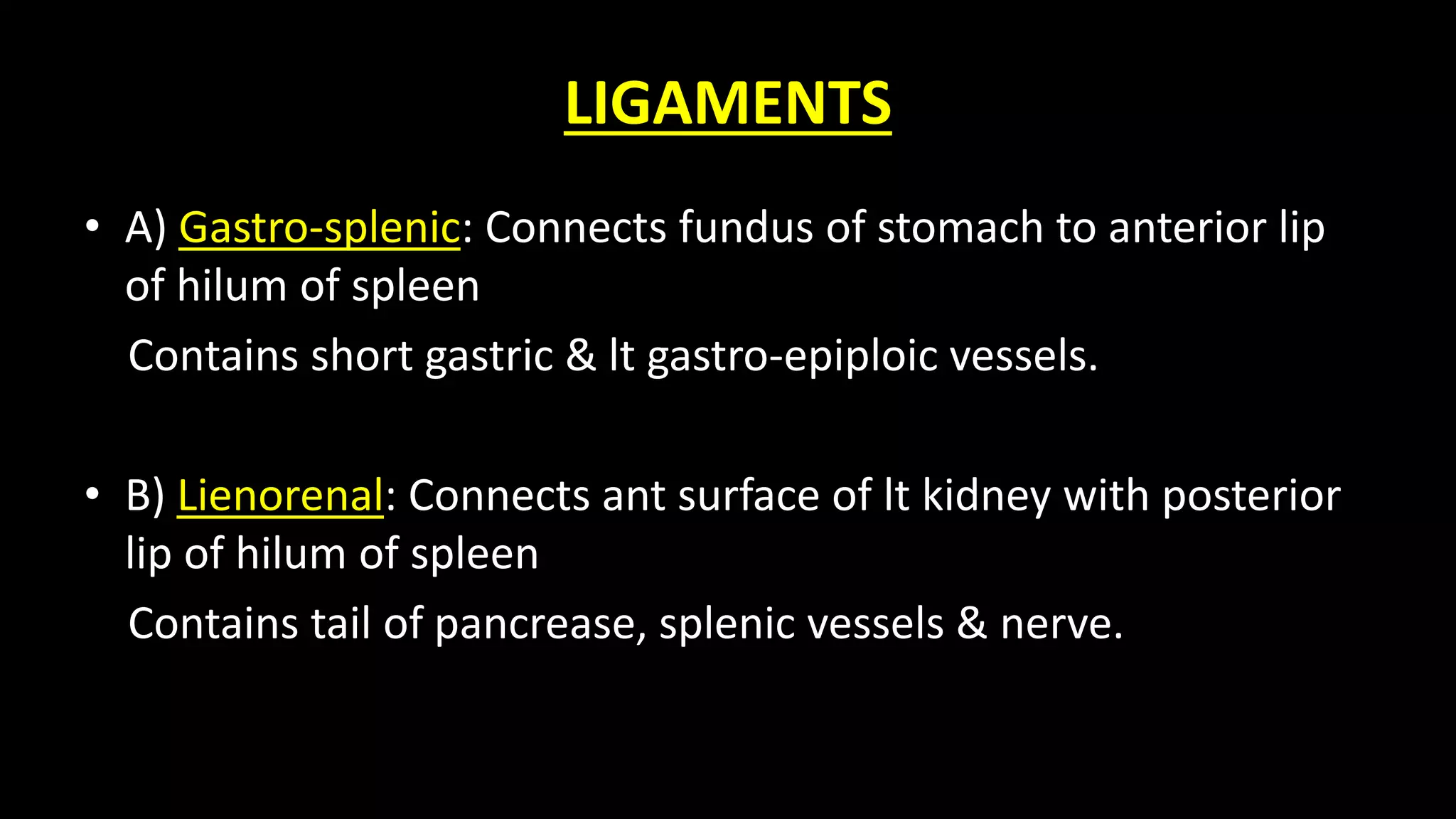 anatomy of spleen | PPTX