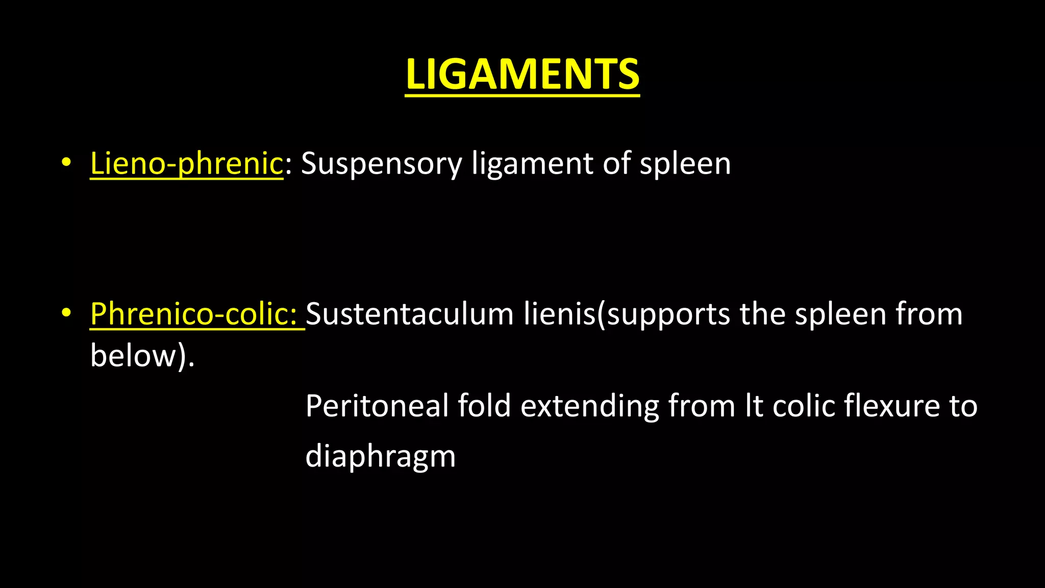 anatomy of spleen | PPTX