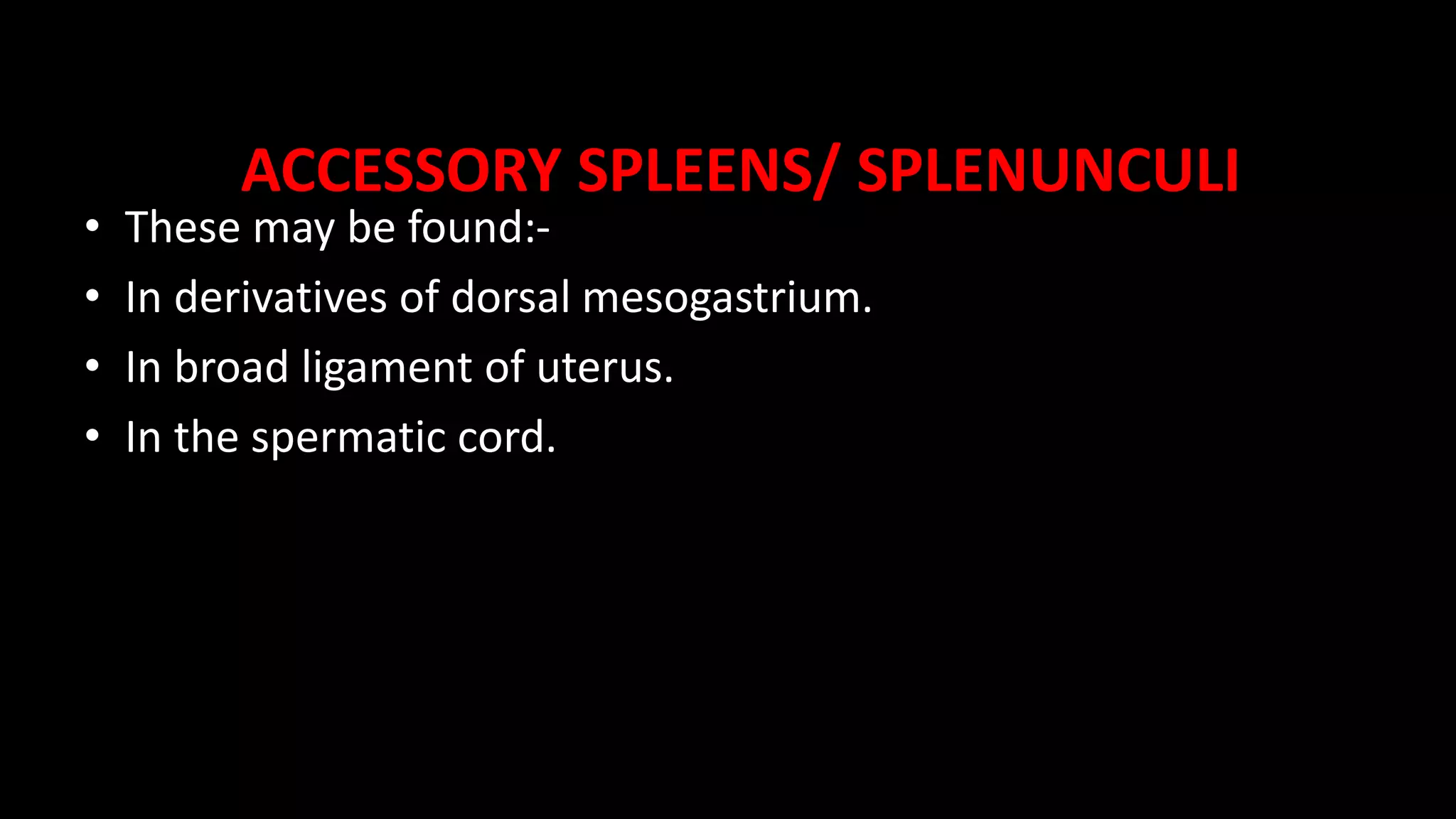 anatomy of spleen | PPTX