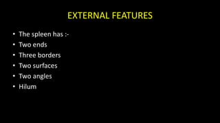 anatomy of spleen | PPTX