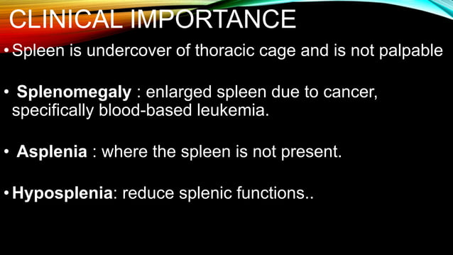 anatomy of spleen | PPTX