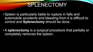 anatomy of spleen | PPTX