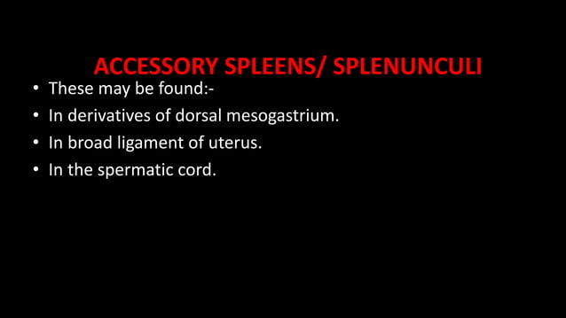 anatomy of spleen | PPTX