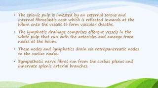 Spleen | PPTX