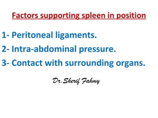 The Spleen (Anatomy of the Abdomen) | PPS