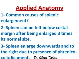 The Spleen (Anatomy of the Abdomen) | PPS