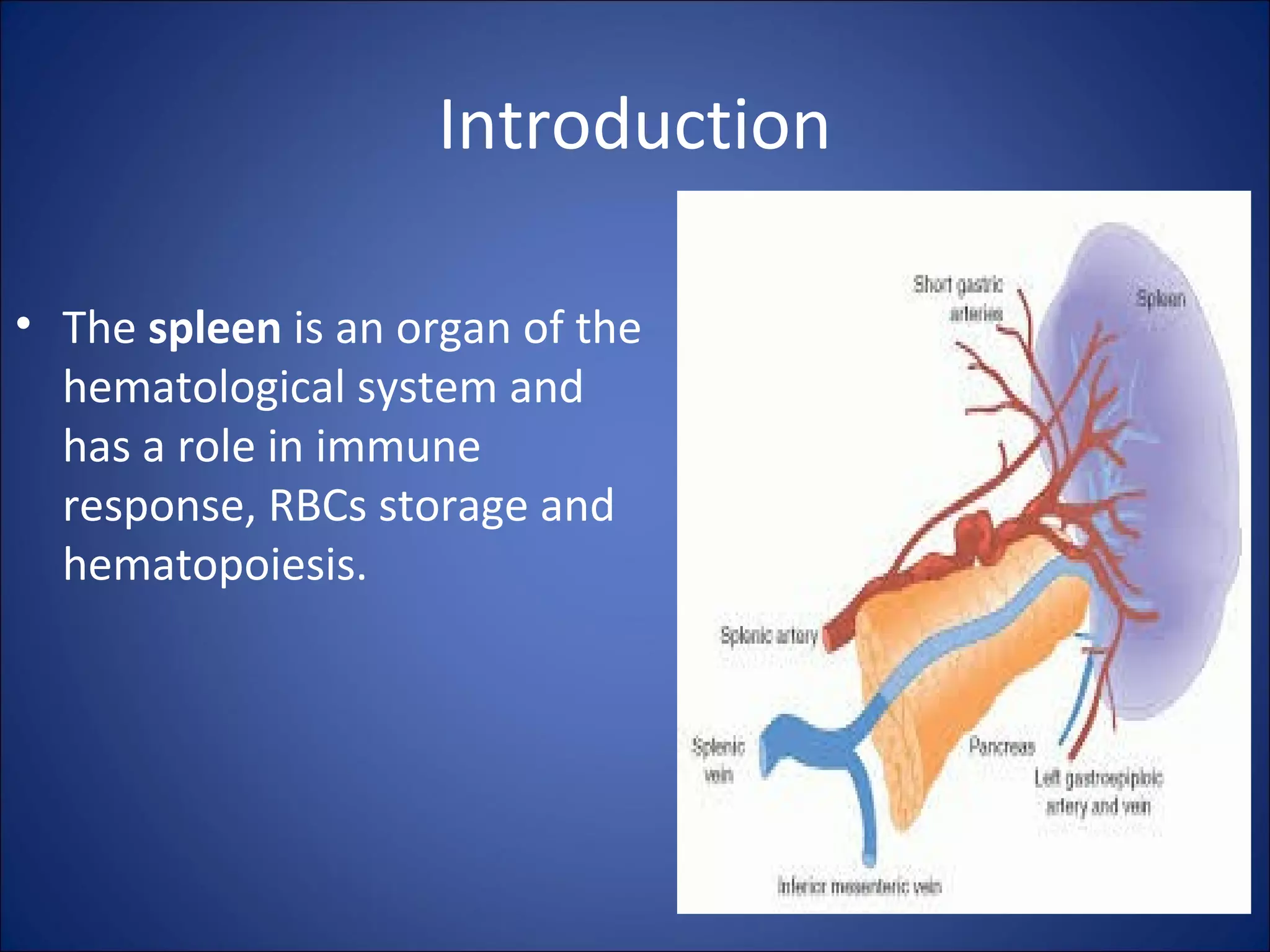 Spleen; Imaging Anatomy, Investigations and Pathology | PPT