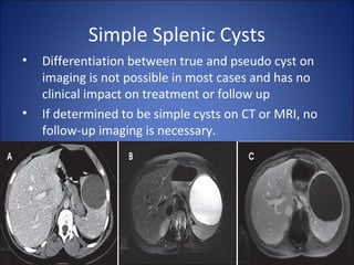 Spleen; Imaging Anatomy, Investigations and Pathology | PPT