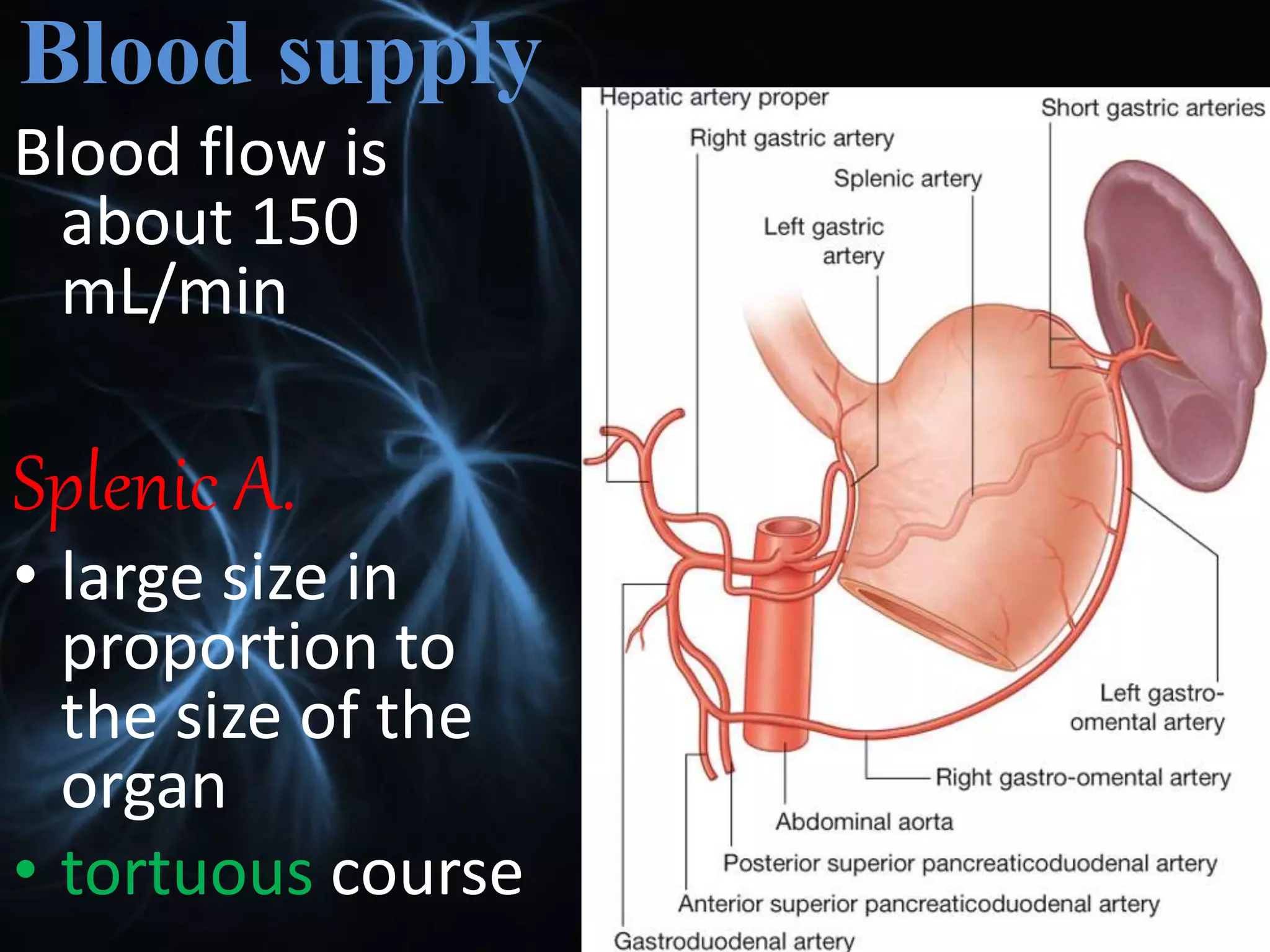 Structure and function of Spleen | PPTX