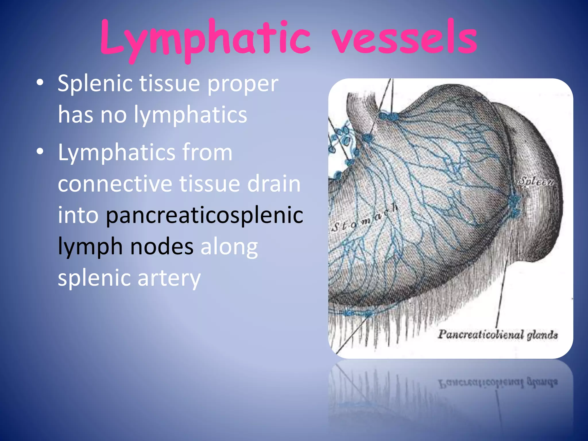 Structure and function of Spleen | PPTX