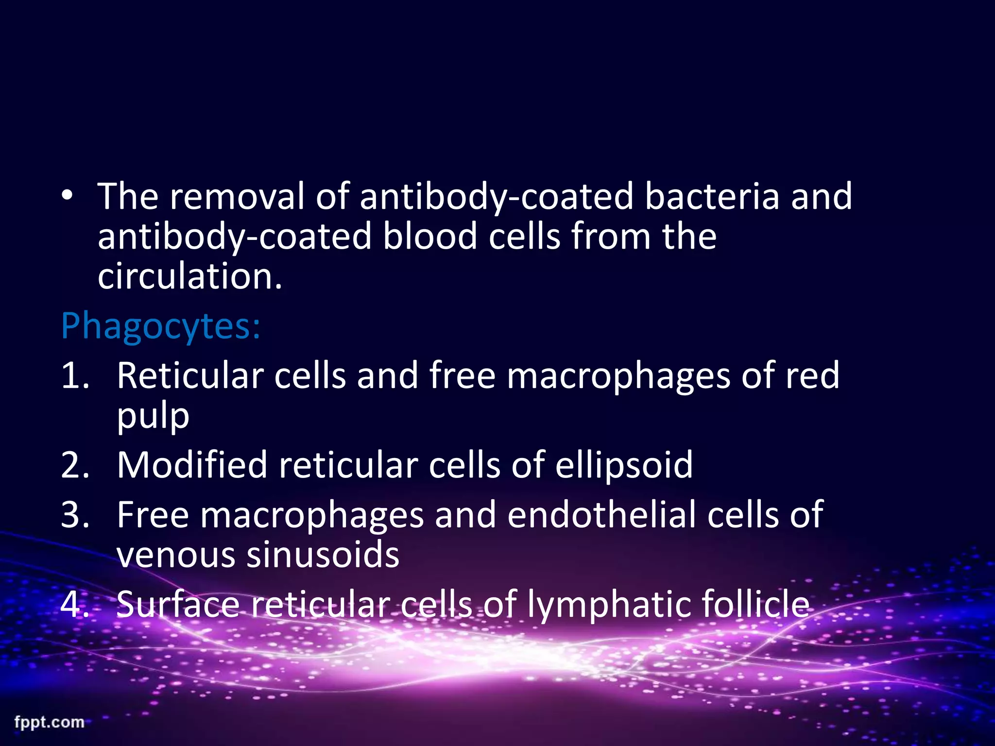 Structure and function of Spleen | PPTX