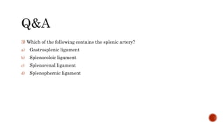 Spleen | PPT