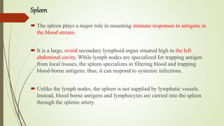 SPLEEN.pptx