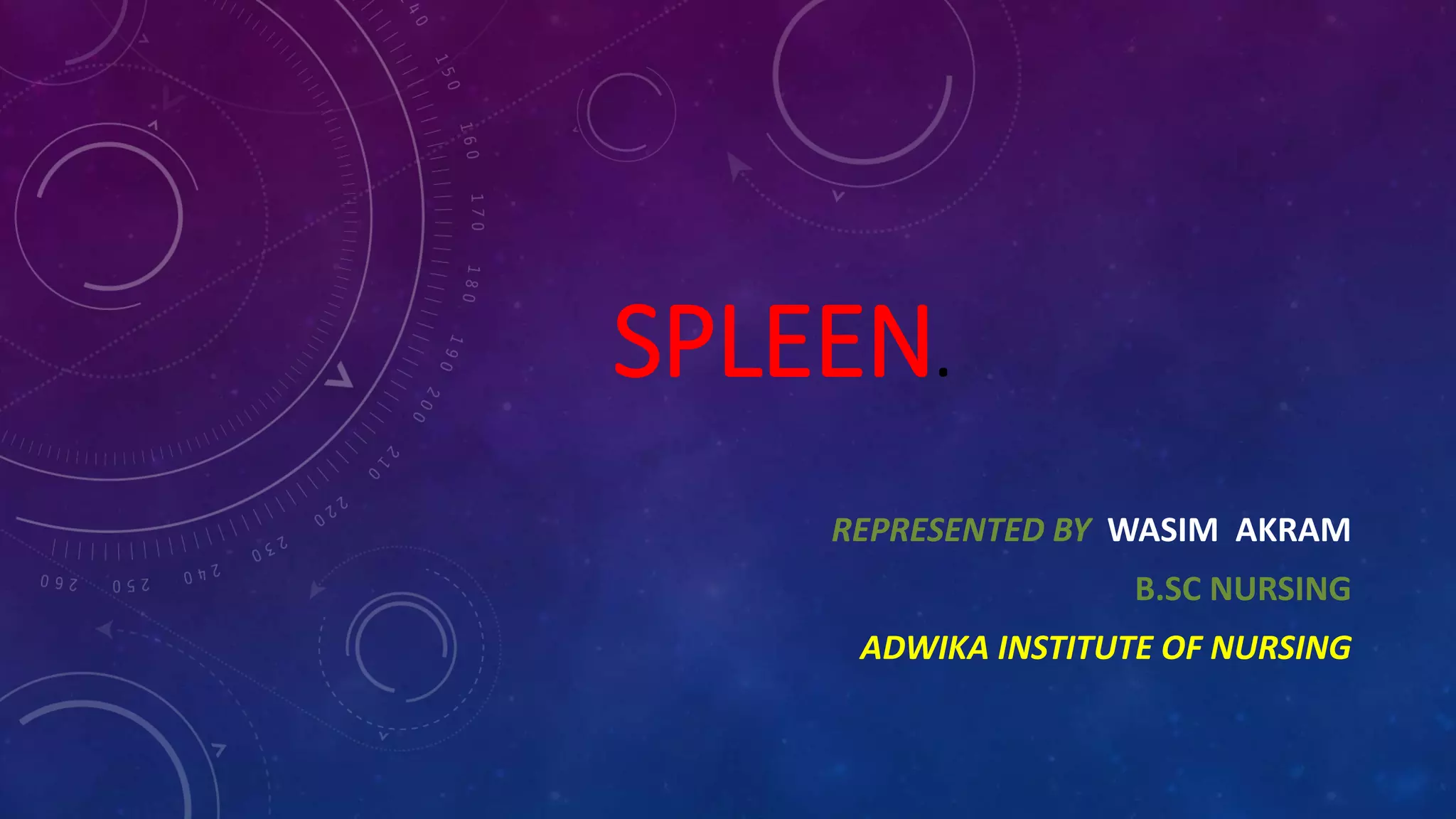Spleen // Structure of Spleen//Function of Spleen | PPTX