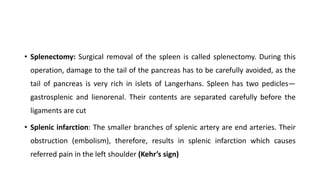 Spleen.pptx