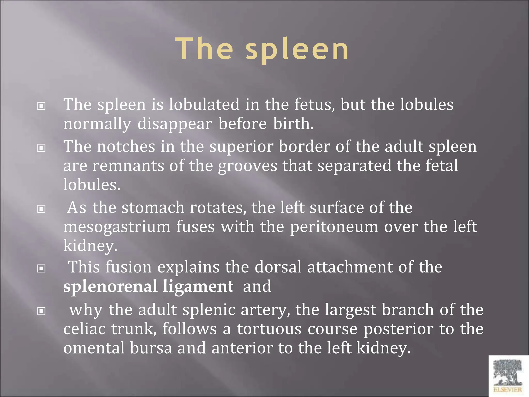 Spleen pptx for the best mbbs prepartion of spleen | PPTX
