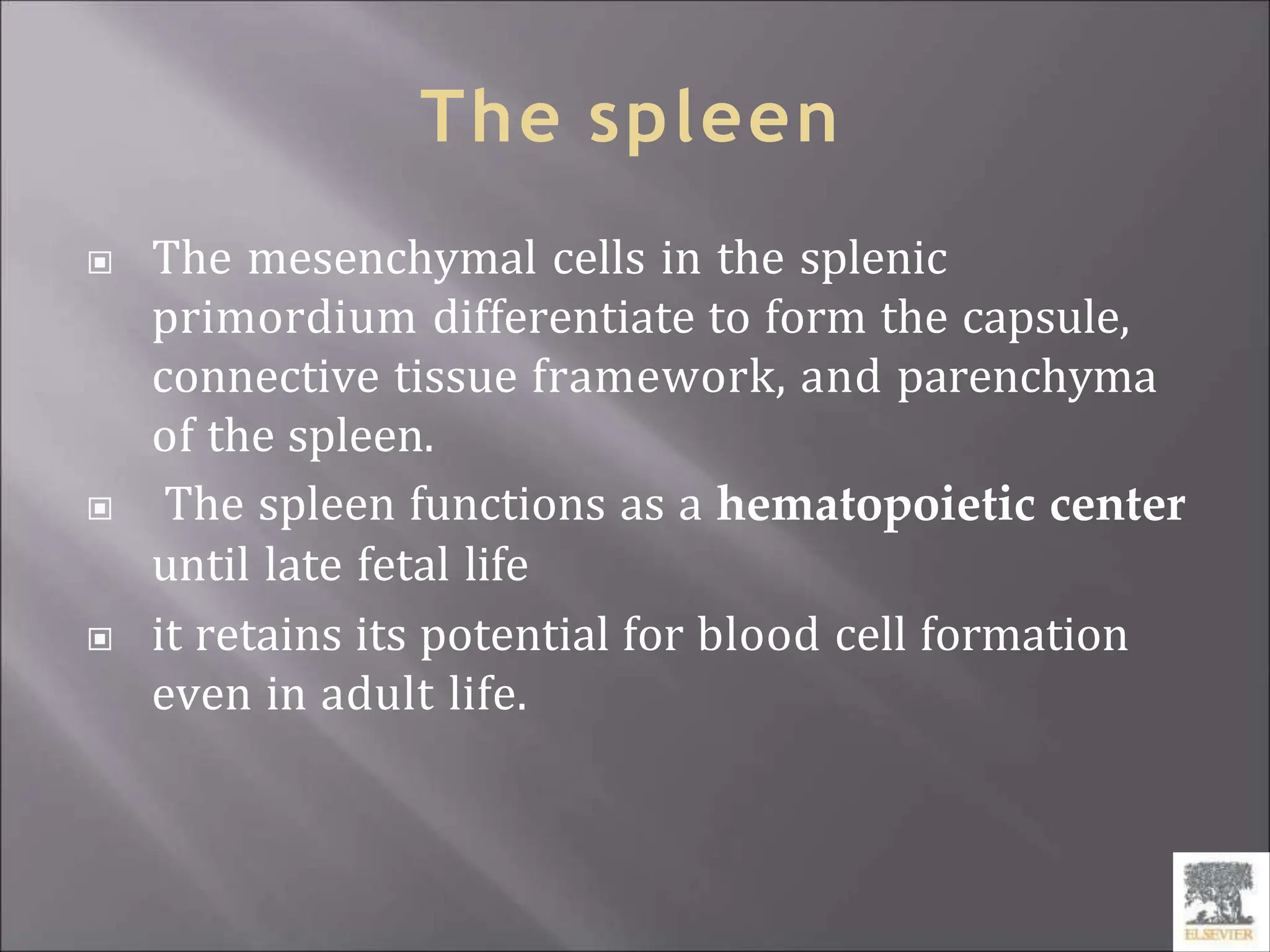 Spleen pptx for the best mbbs prepartion of spleen | PPTX