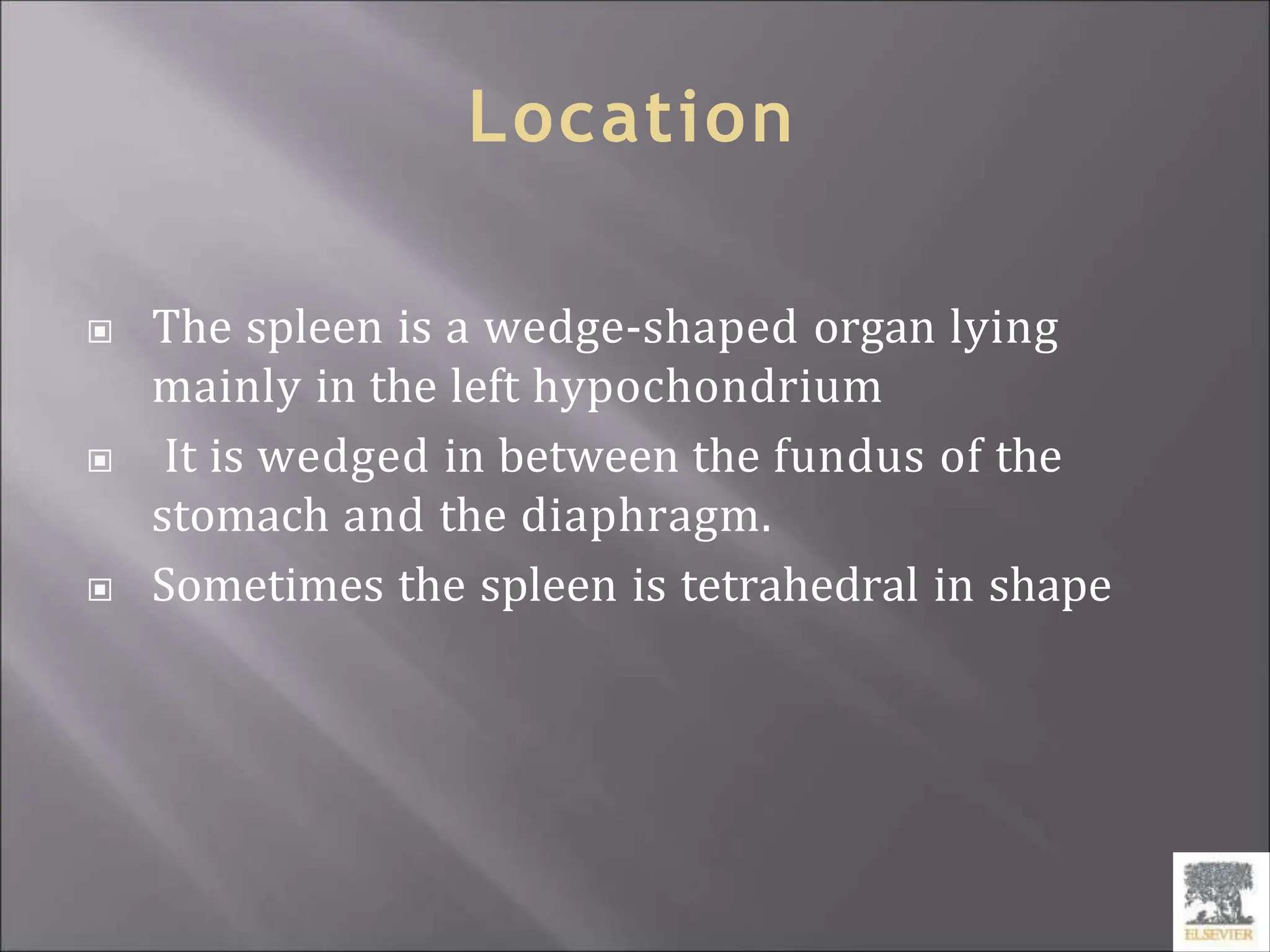 Spleen pptx for the best mbbs prepartion of spleen | PPTX
