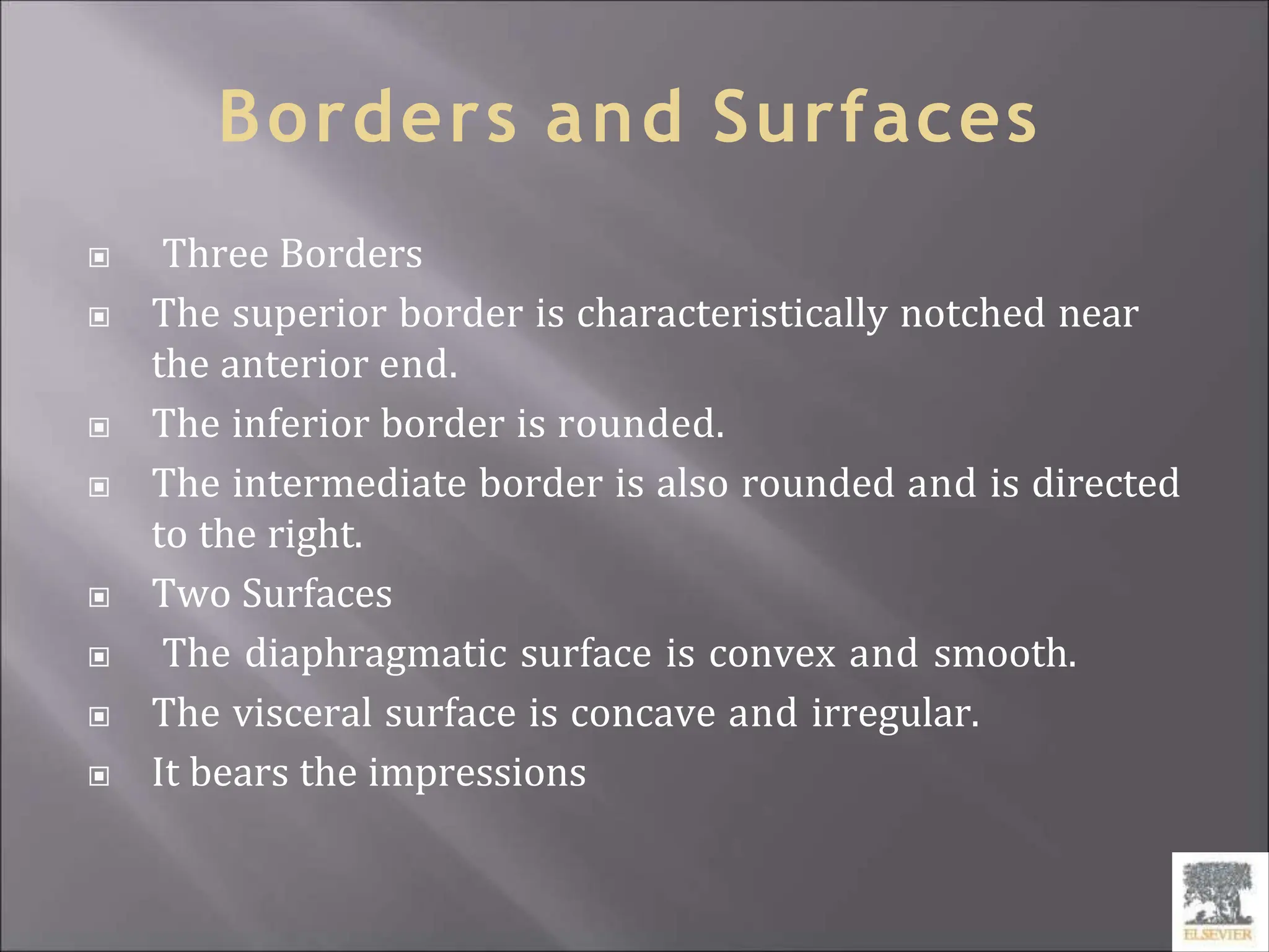 Spleen pptx for the best mbbs prepartion of spleen | PPTX