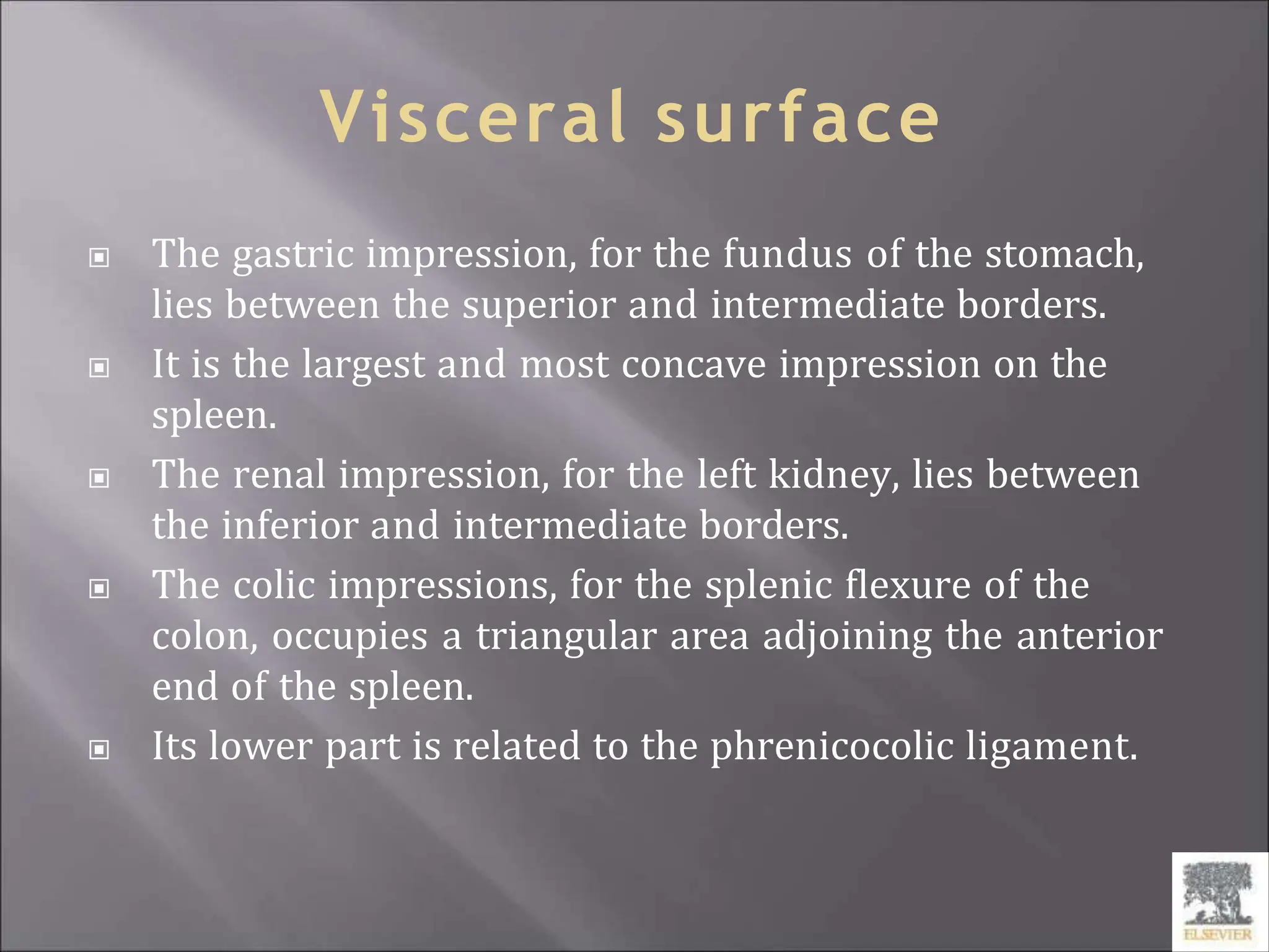 Spleen pptx for the best mbbs prepartion of spleen | PPTX