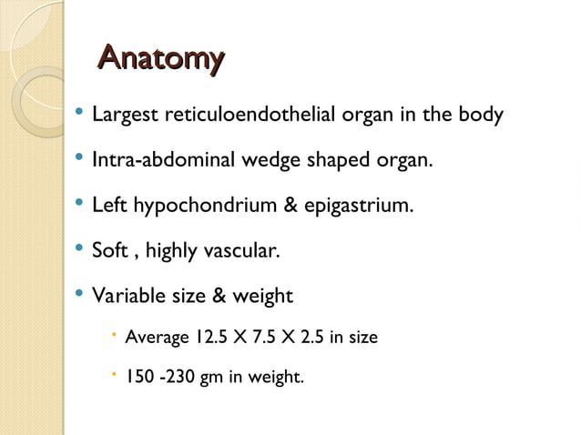 spleen-gross anatomy - physiology---.ppt