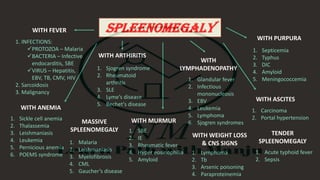 spleenomegaly .pdf