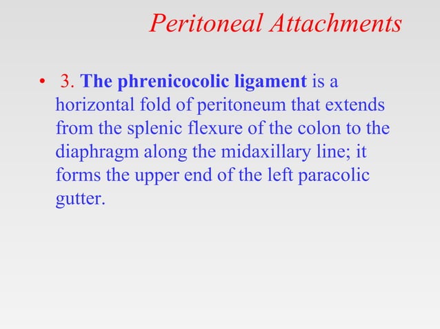 Spleen- anatomy physiology, function, anomalies.pptx.pptx | Educational ...