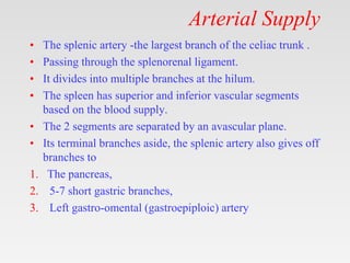 Splenorenal Ligament Splenic Artery