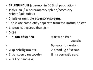 Spleen (1).pptx