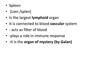 Spleen (1).pptx