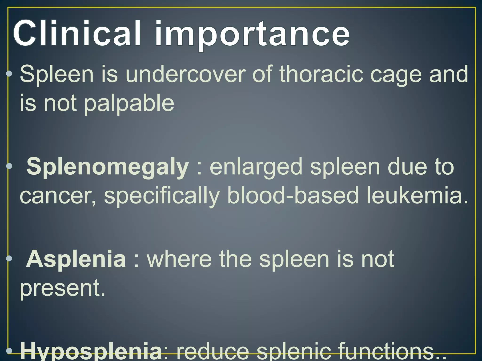 Spleen anatomy | PPTX