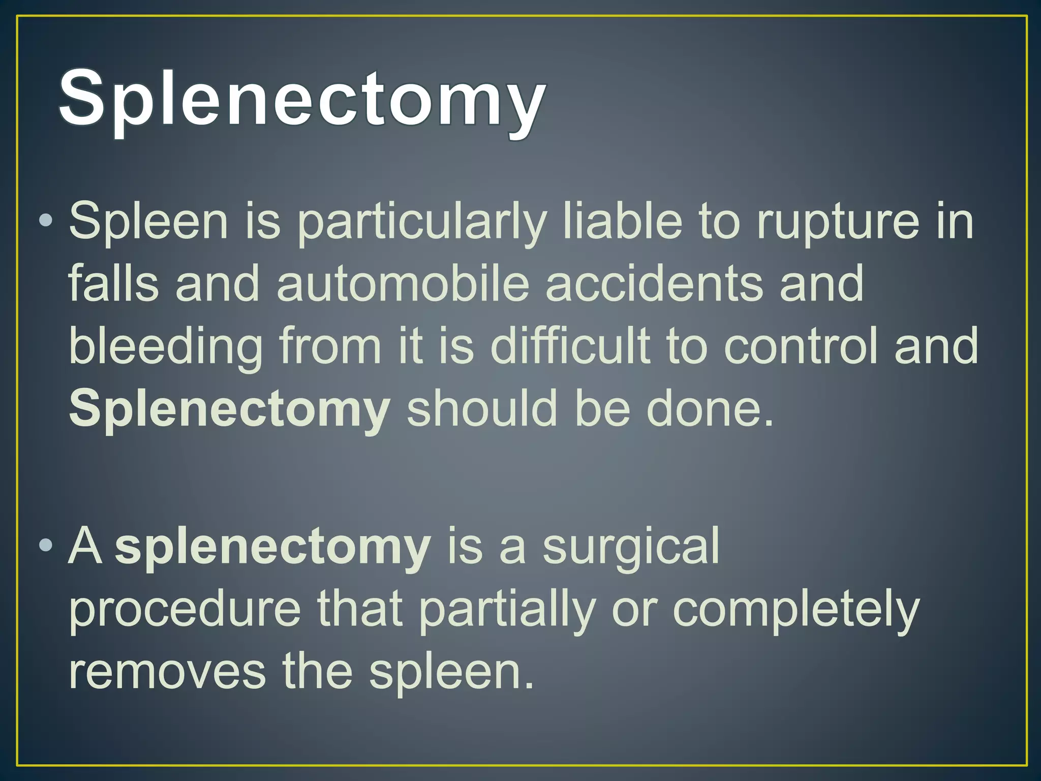 Spleen anatomy | PPTX