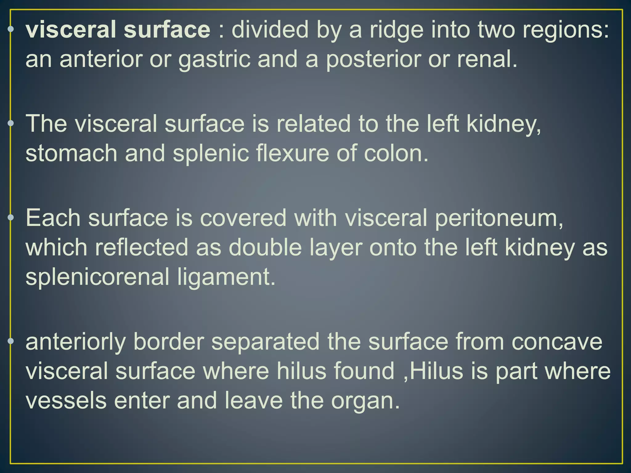 Spleen anatomy | PPTX