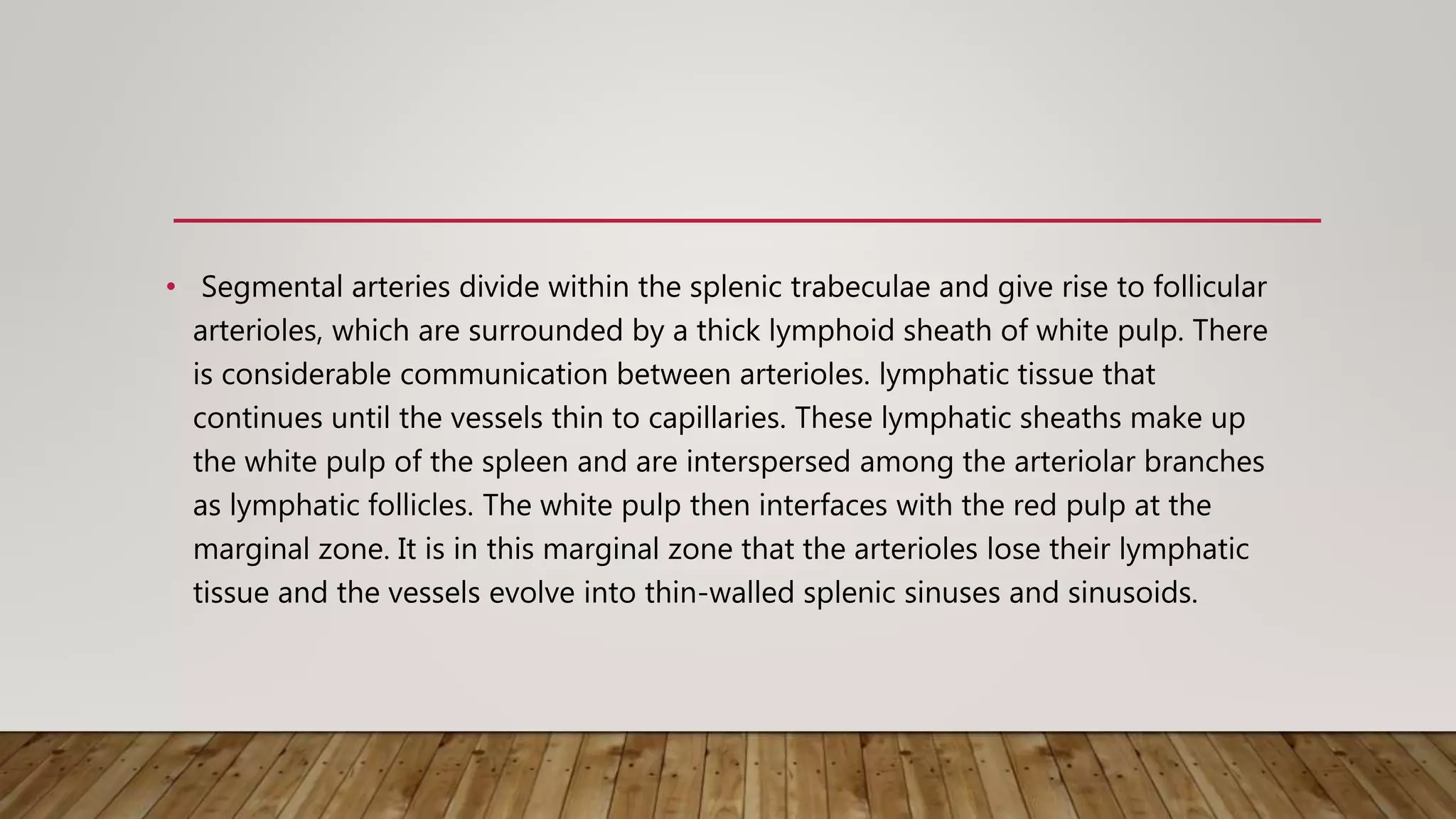 Spleen anatomy and physiology | PPTX