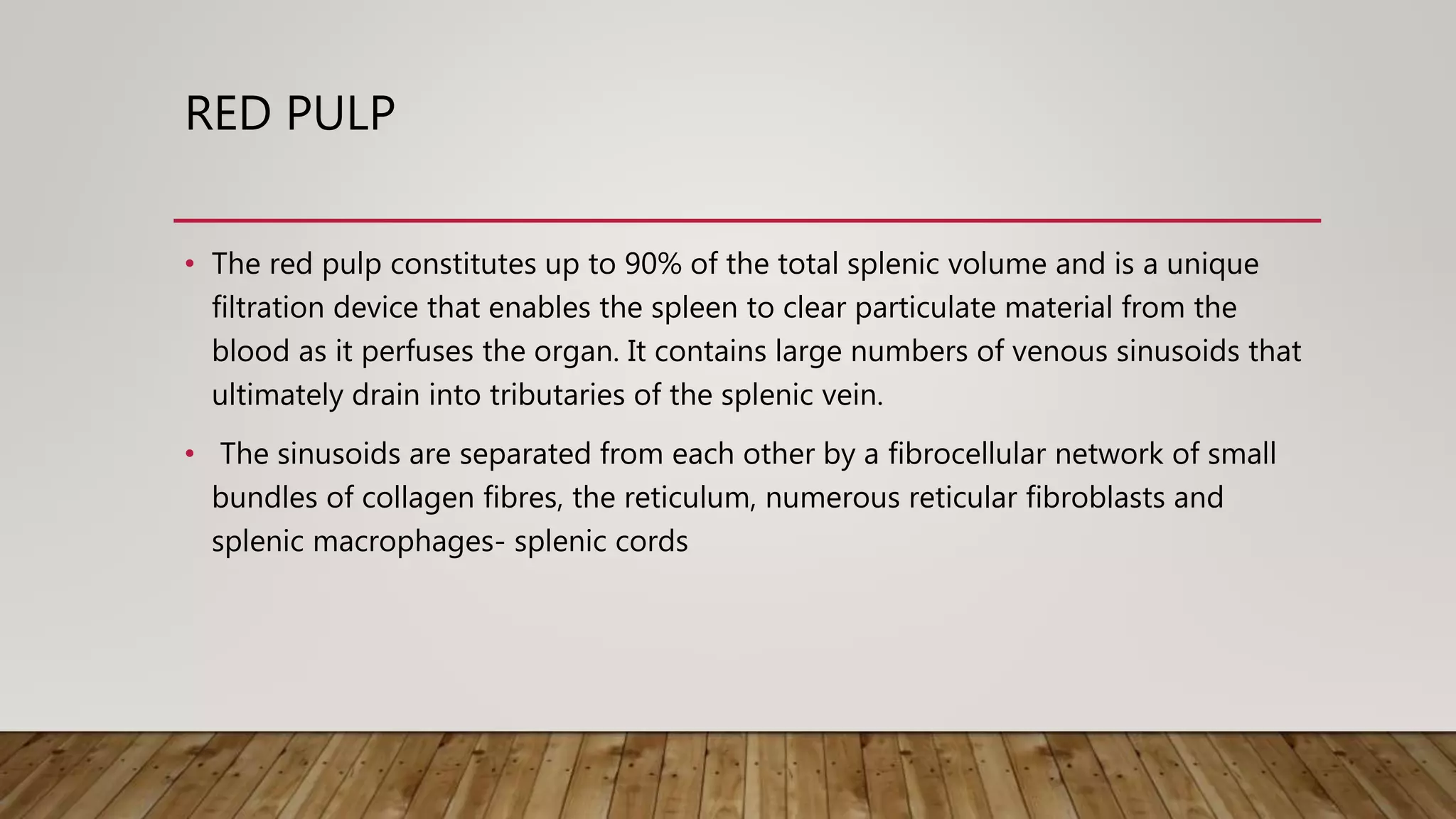 Spleen anatomy and physiology | PPTX