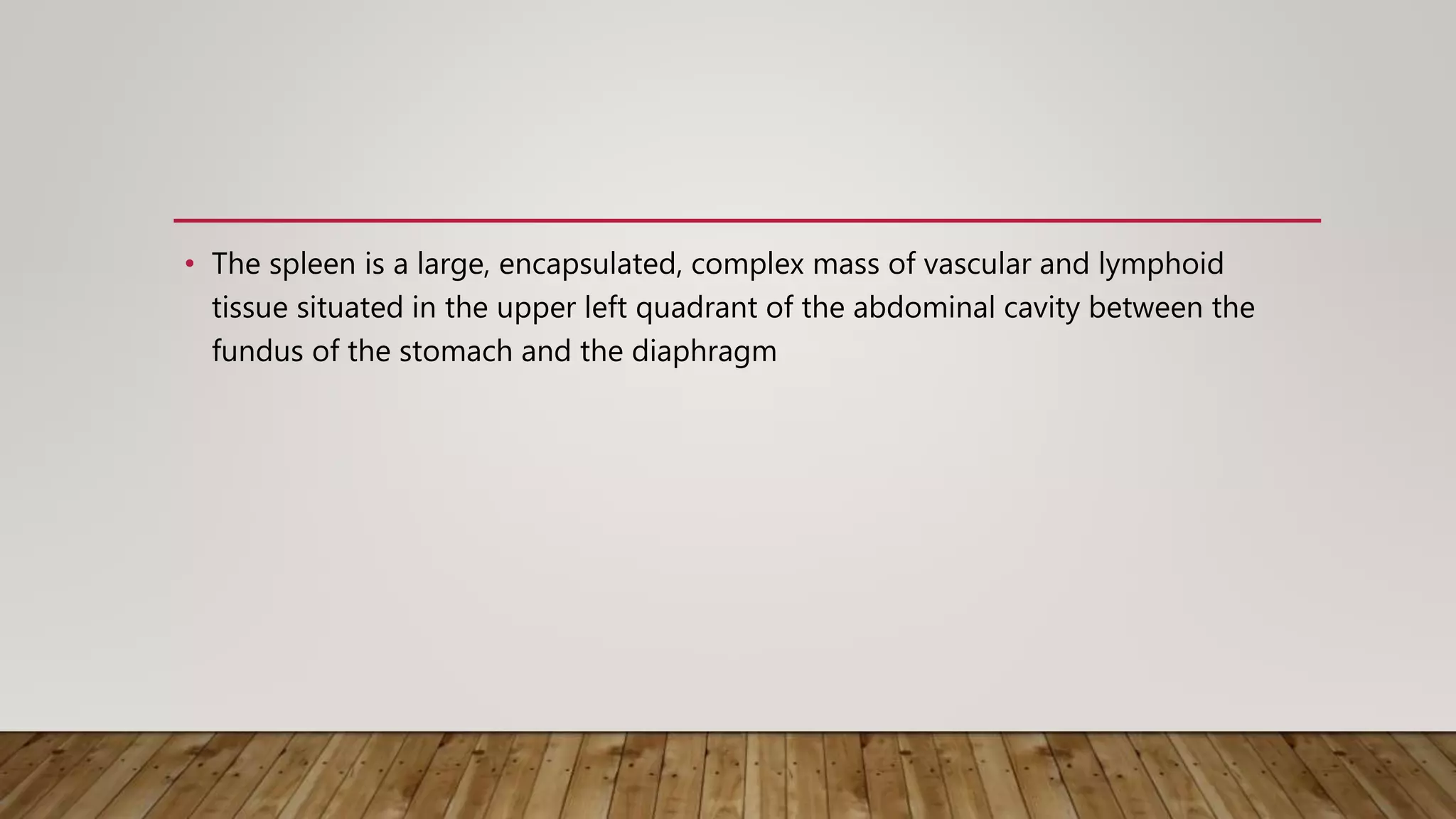 Spleen anatomy and physiology | PPTX