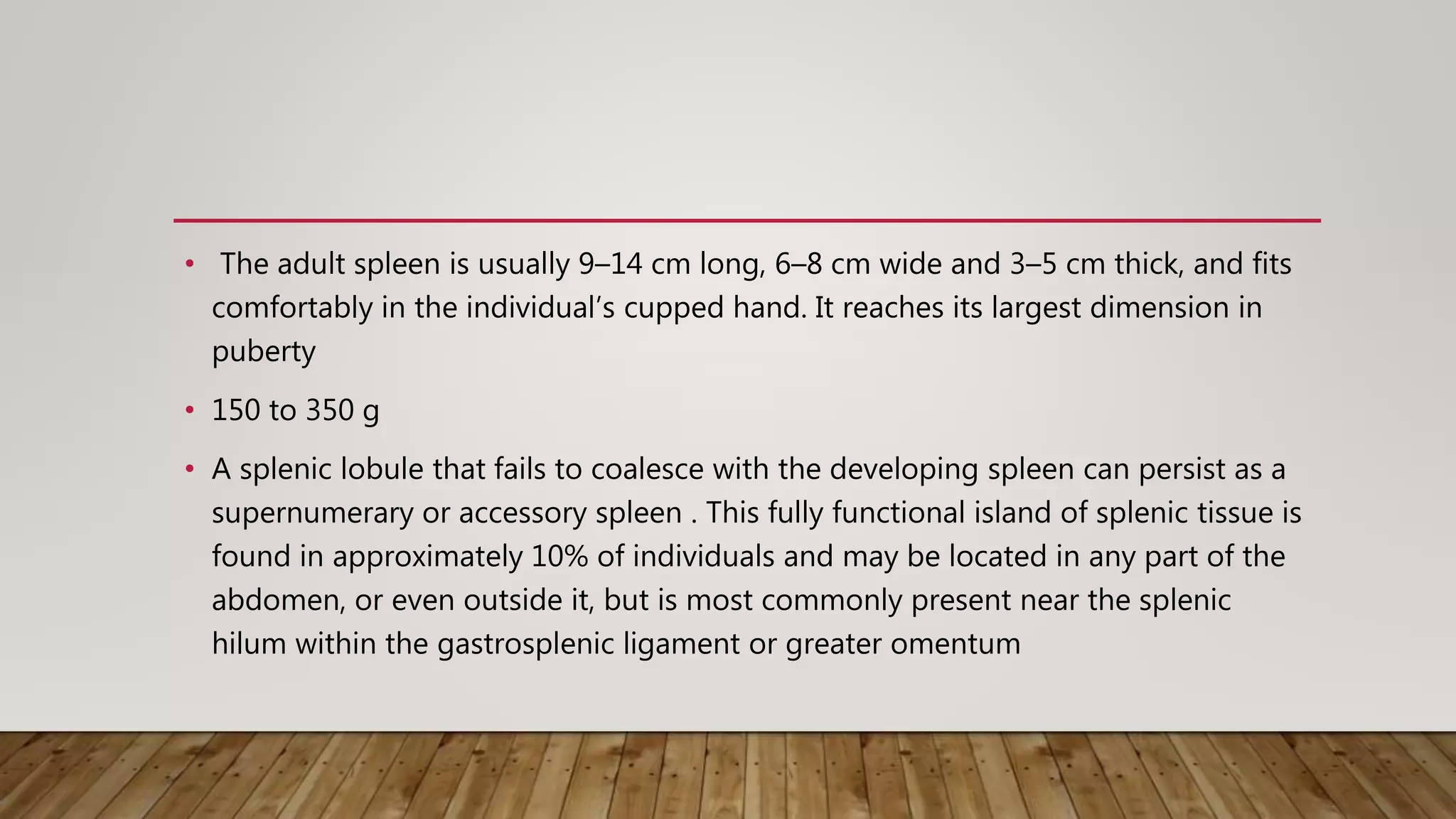 Spleen anatomy and physiology | PPTX