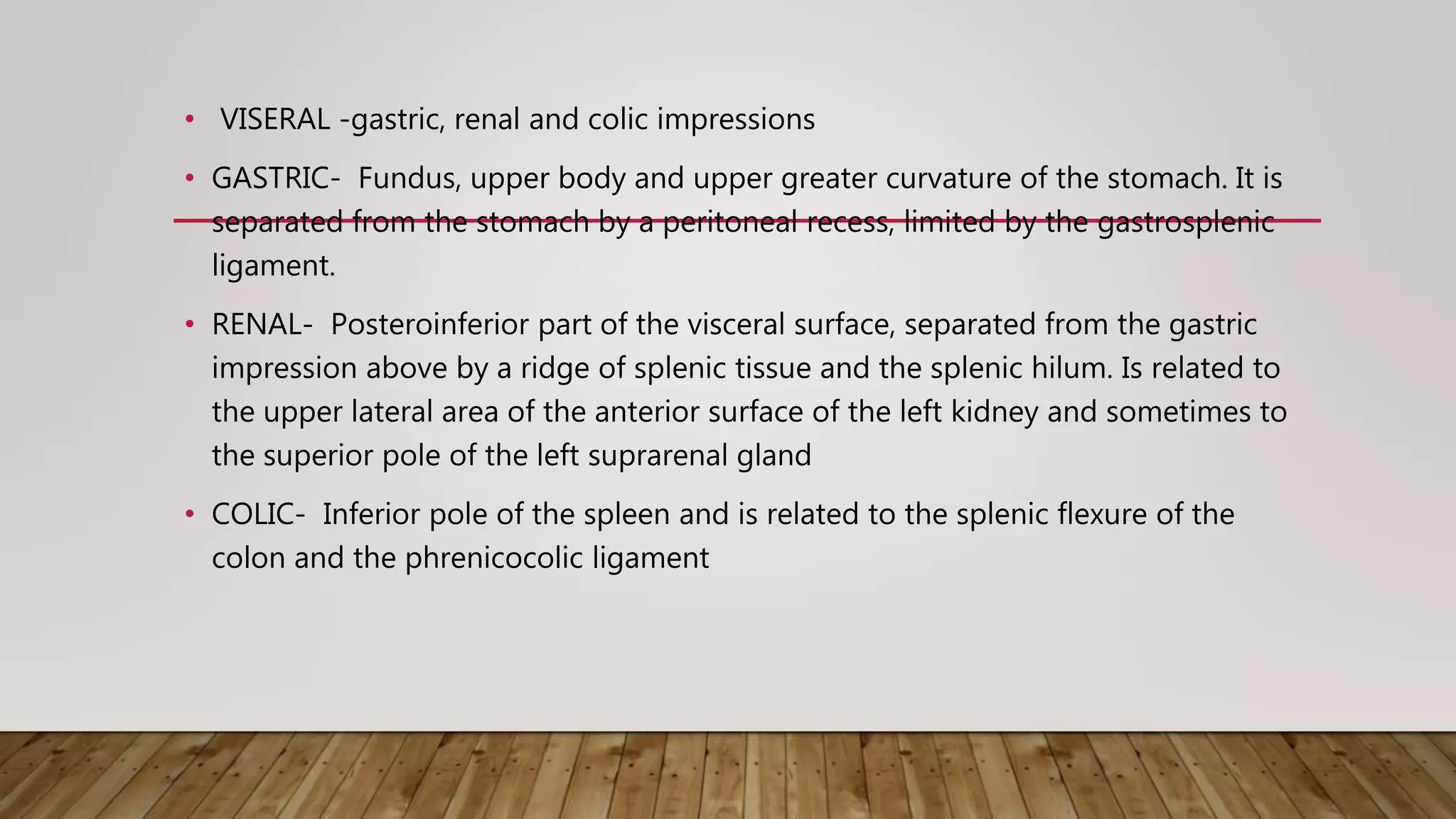 Spleen anatomy and physiology | PPTX