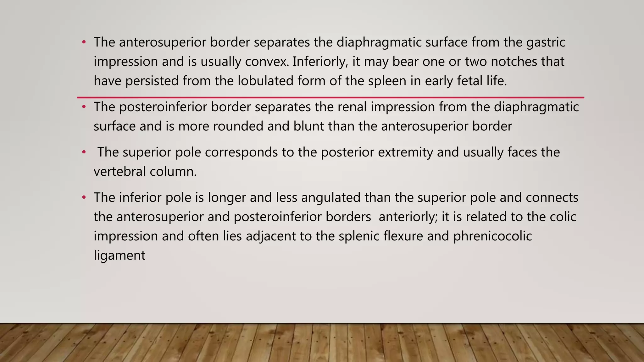 Spleen anatomy and physiology | PPTX