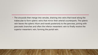 Spleen anatomy and physiology | PPTX