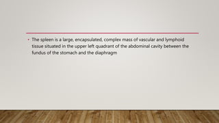 Spleen anatomy and physiology | PPTX