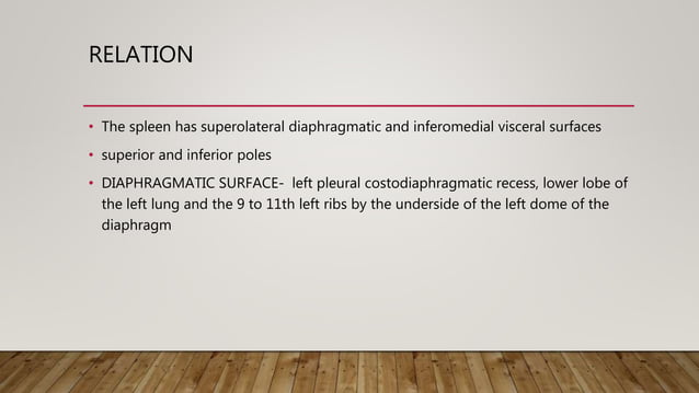 Spleen anatomy and physiology | PPTX