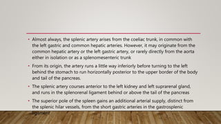 Spleen anatomy and physiology | PPTX