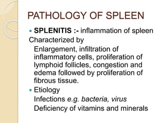 Spleen and lymph nodes | PPTX